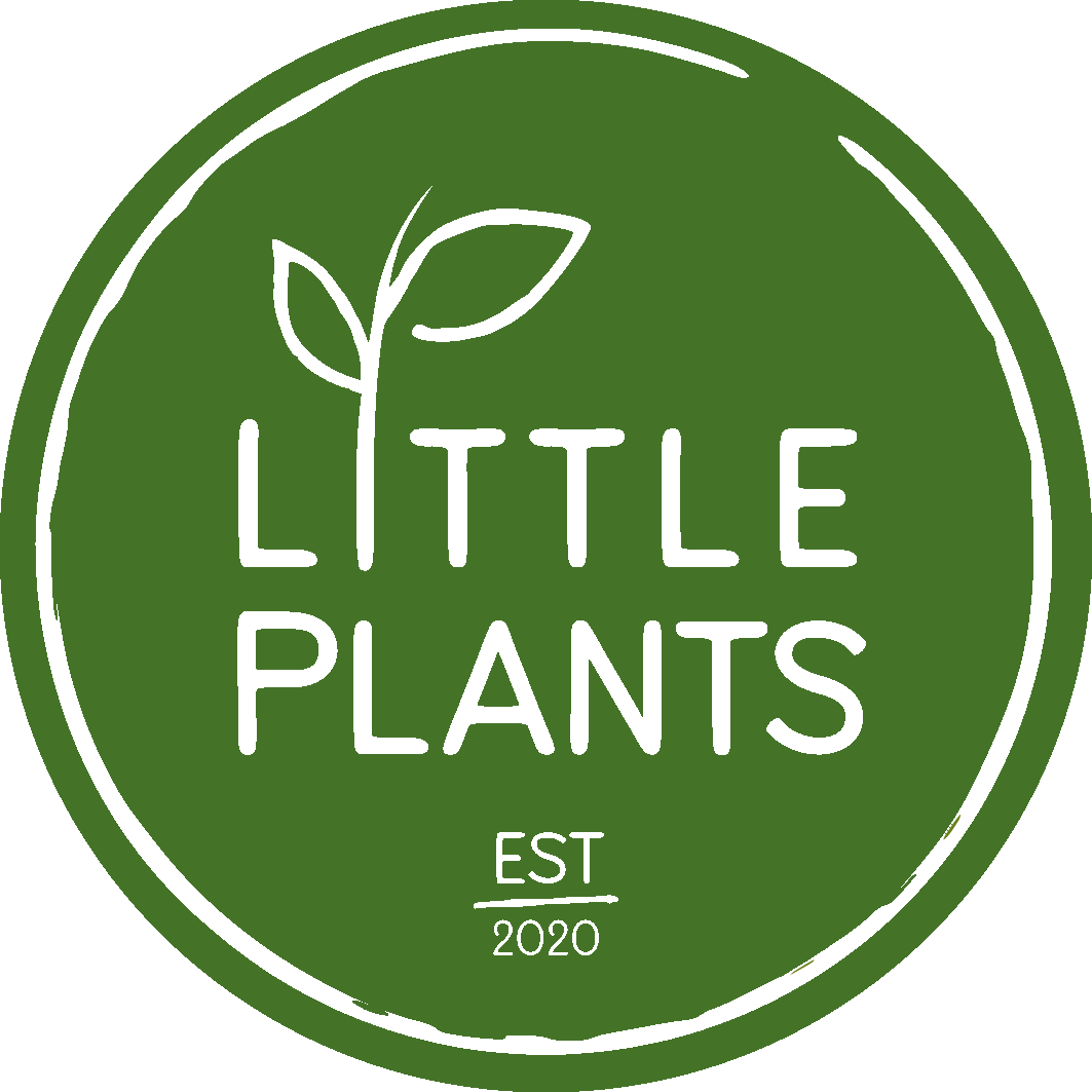 Little Plants Sprossenpower (Ebook)